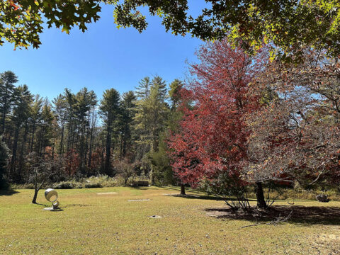 2024 Fall Color Report - Welcome To Hendersonville, NC