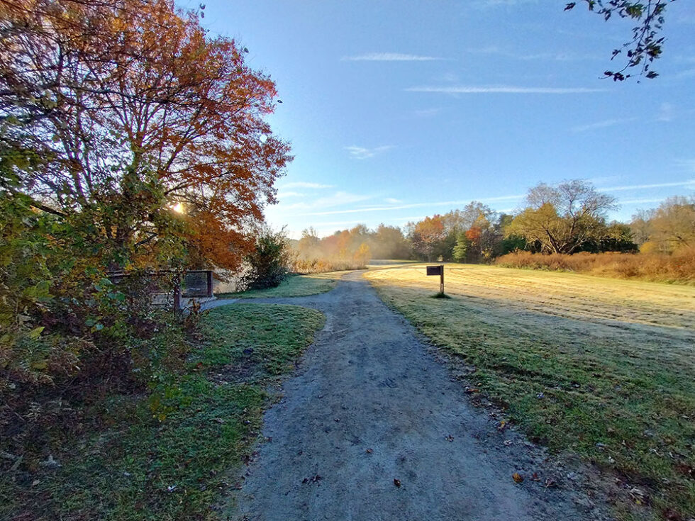 2024 Fall Color Report - Welcome To Hendersonville, NC