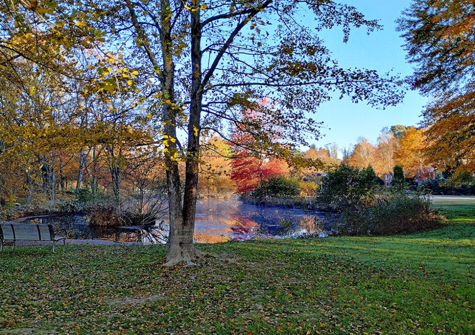 2024 Fall Color Report - Welcome To Hendersonville, NC