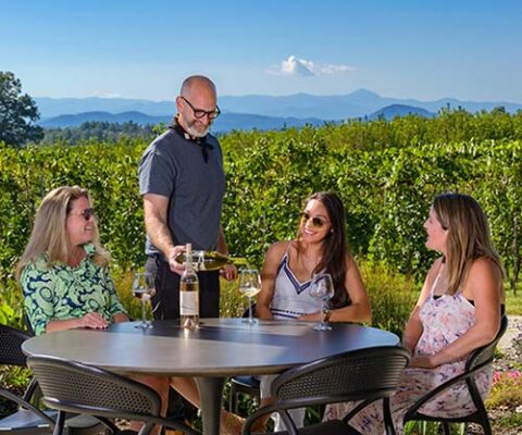 Marked Tree Vineyard - Welcome To Hendersonville, NC