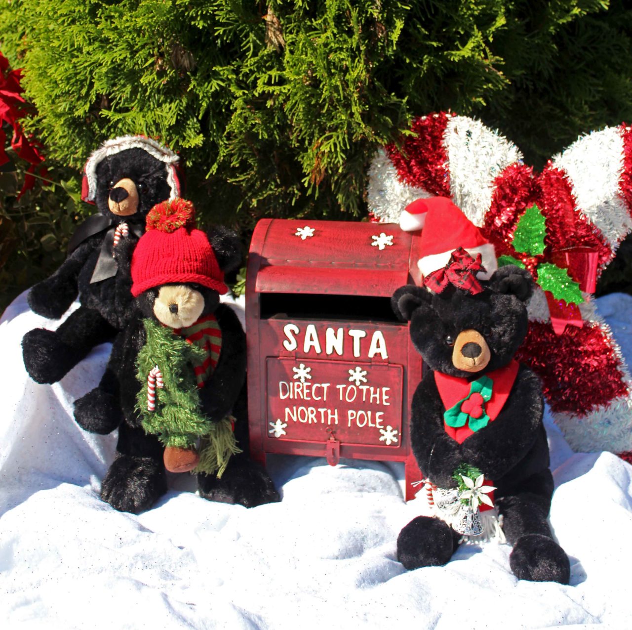 Home for the Holidays - Welcome To Hendersonville, NC