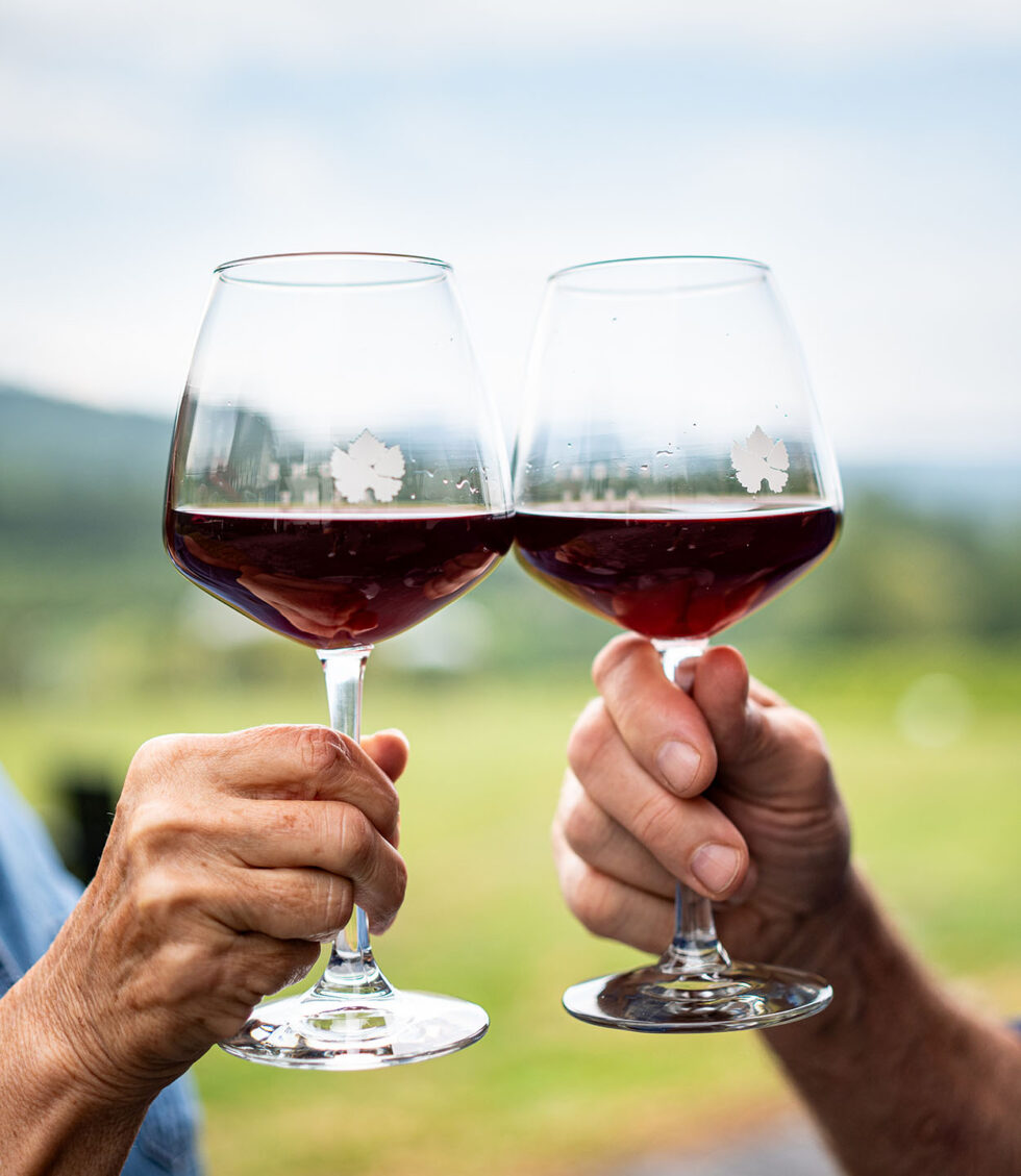 Stone Ashe: A Vineyard Rooted in Passion and the Spirit of ...