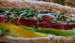 Alykat Subs & Sandwiches - Welcome To Hendersonville, NC