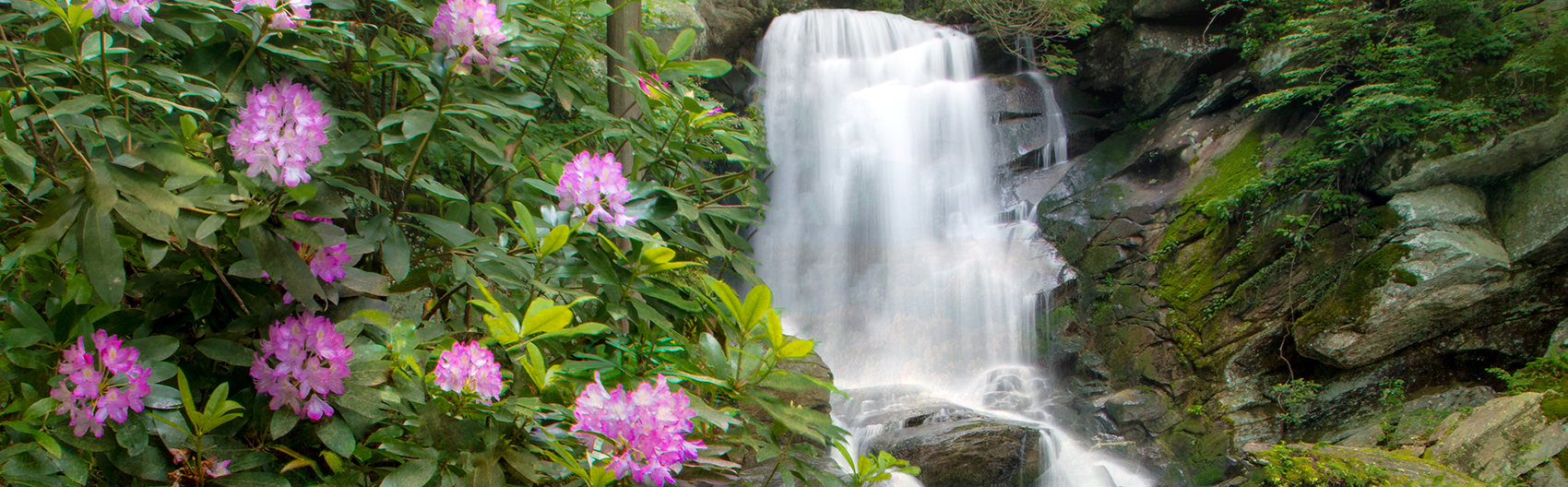 Spring & Summer Adventures in Hendersonville - Hendersonville, NC