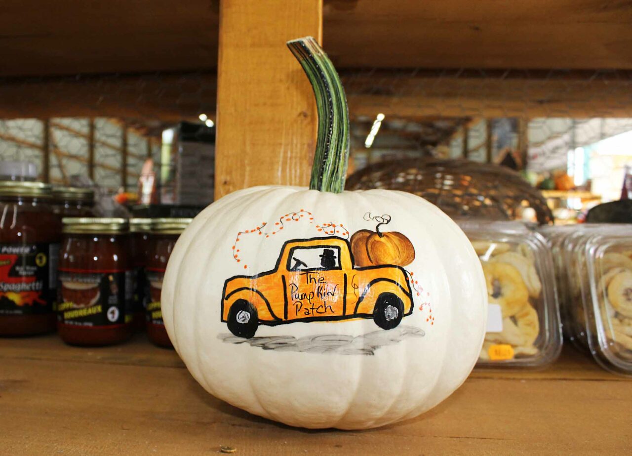 Great Spots for Pumpkin Picking - Welcome To Hendersonville, NC