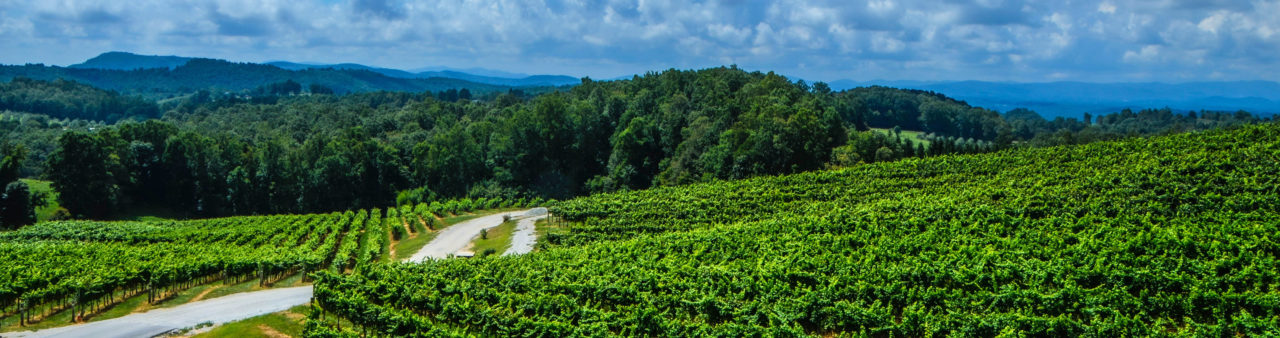 Crest of the Blue Ridge Wine Country - Visitors Information Center ...